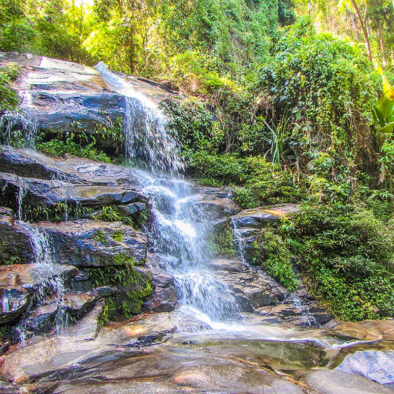 Clean Water Mill - Water Filtration, Garden Decor & Water Sports