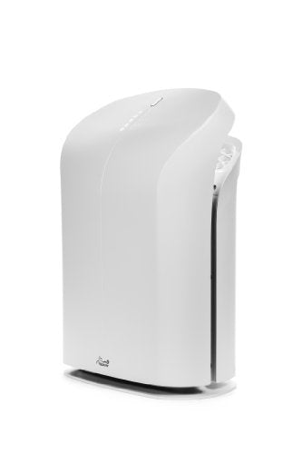 The rabbit air purifier store